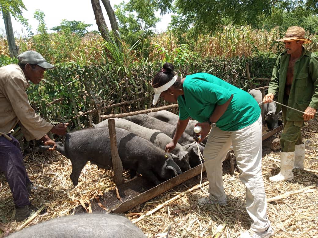 María Caridad, docente que enamora con su ejemplo y bondad