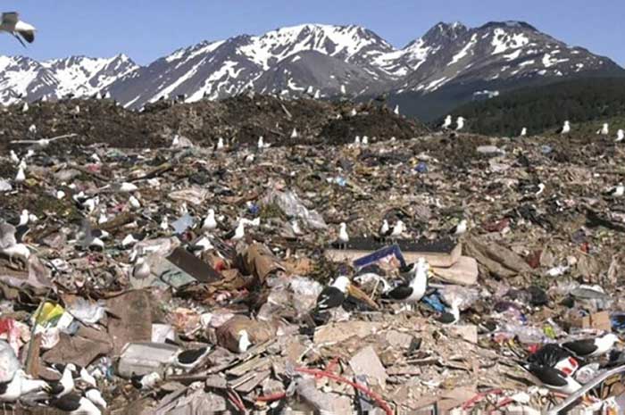 Ushuaia Municipal Landfill Investigated In Connection With Mv Hondius