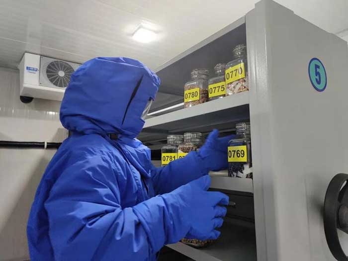 Shanghai Seed Bank Hits 100 Million Samples in Biodiversity ...